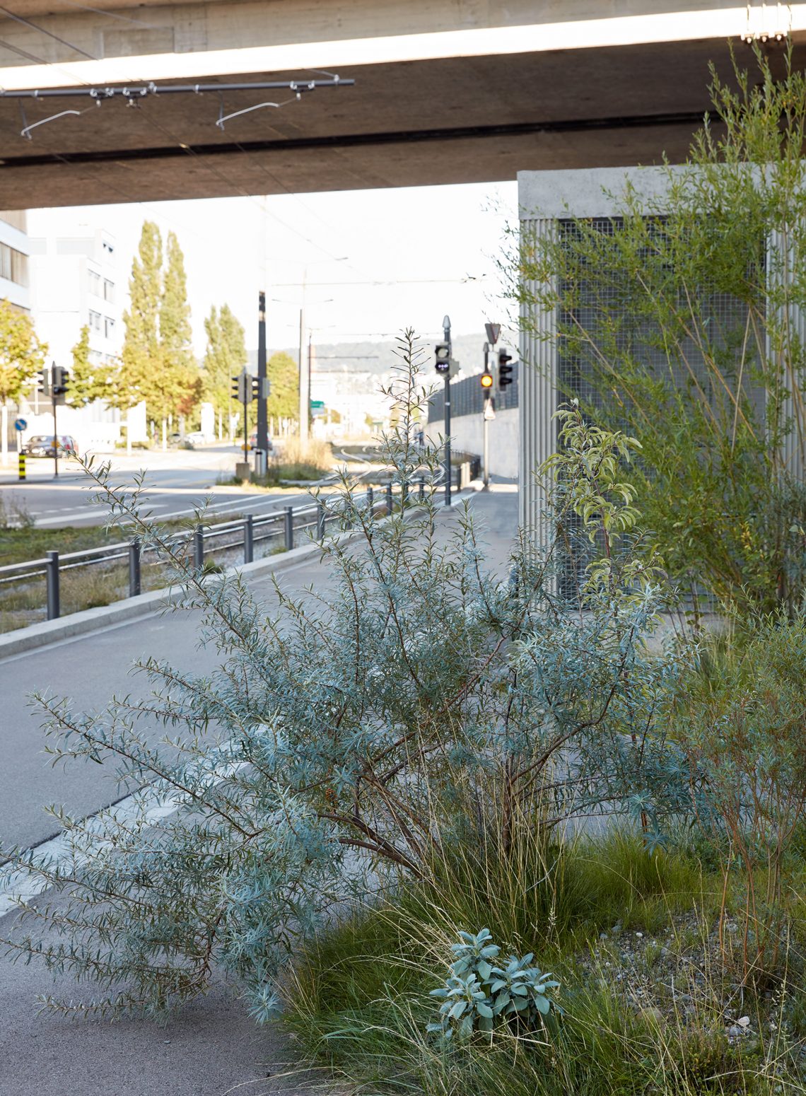 Westlink Tower und Cube | haag.la
